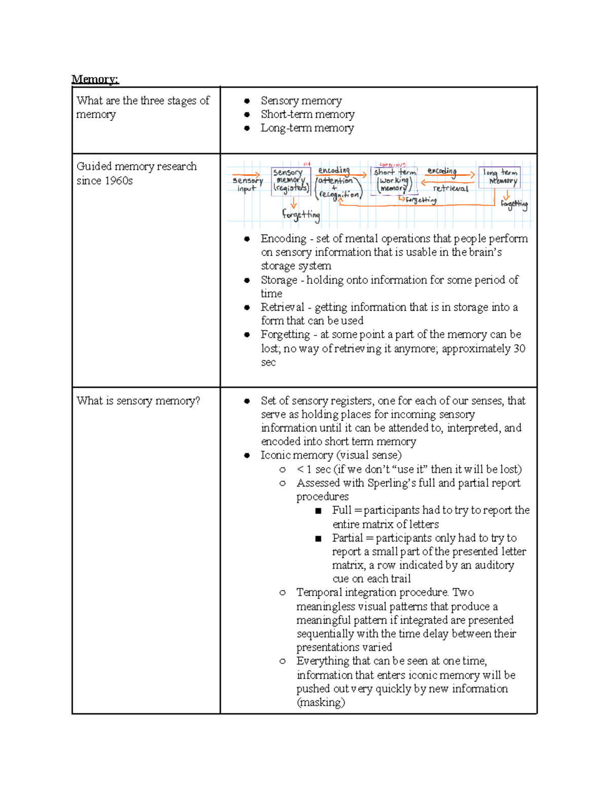 PSY 101 Memory - dr. dunham cornell notes format personal note included ...