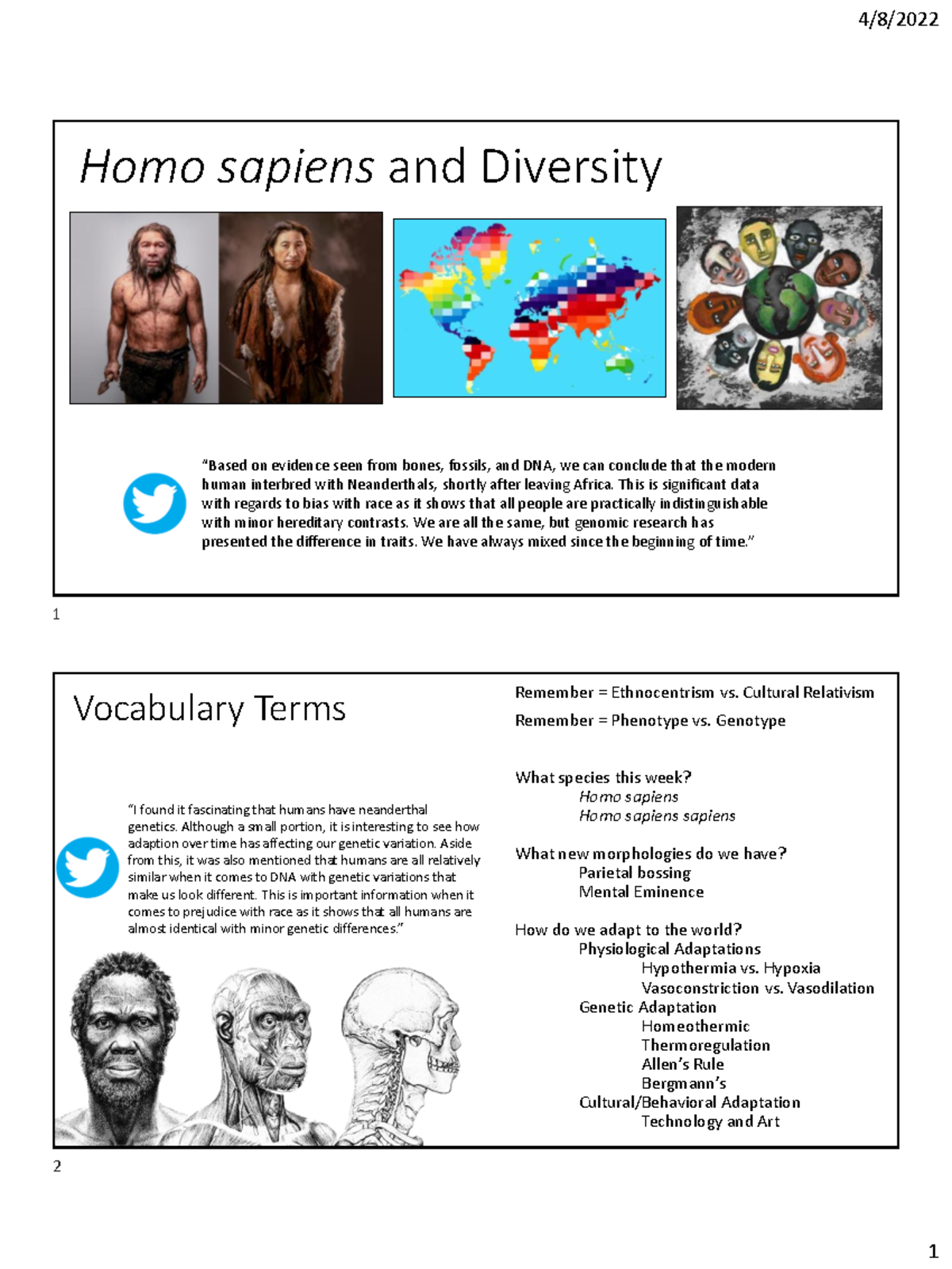Lecture 13 Week 13 Homo sapiens - Homo sapiens and Diversity “Based on ...