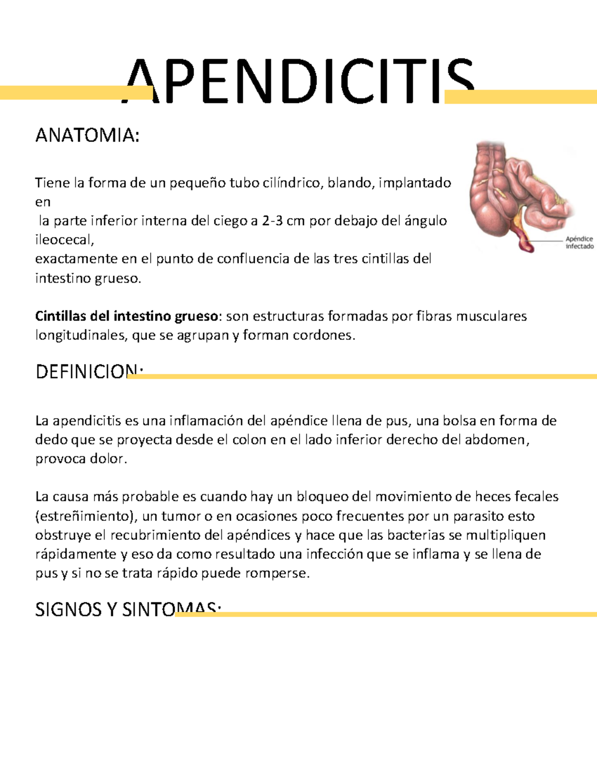 Apendicitis - muy buenos - APENDICITIS ANATOMIA: Tiene la forma de un ...