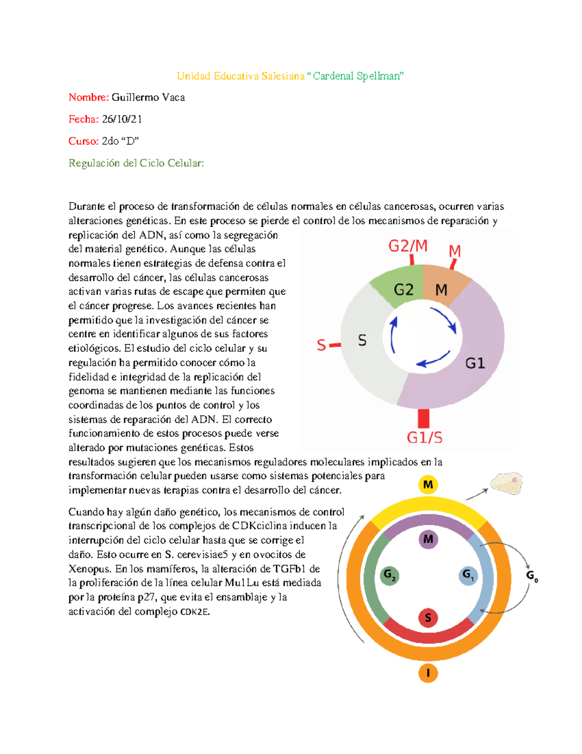 Investigacion Regulacion del Ciclo celular Guillermo Vaca - Unidad ...