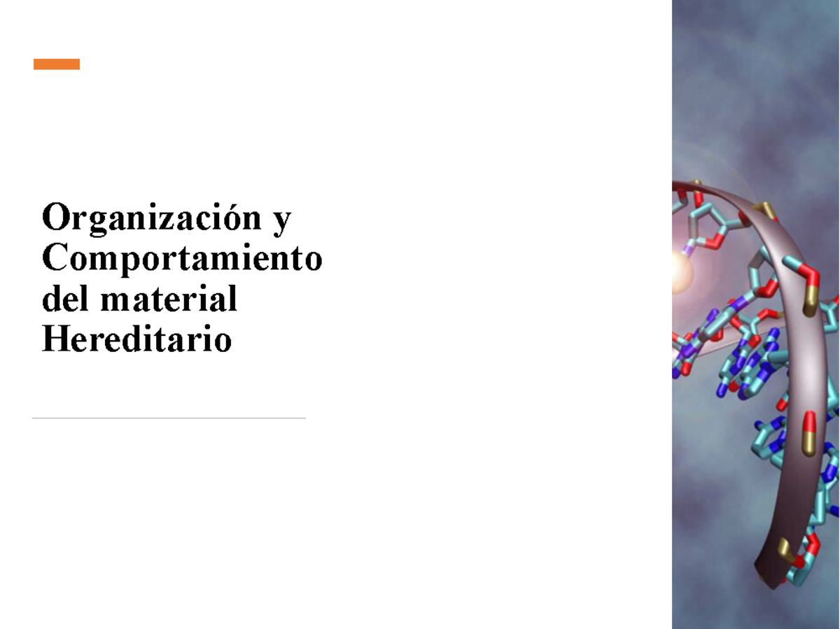 Organizaci%C3%B3n++y+Comportamiento+ADN - Organización y Comportamiento ...