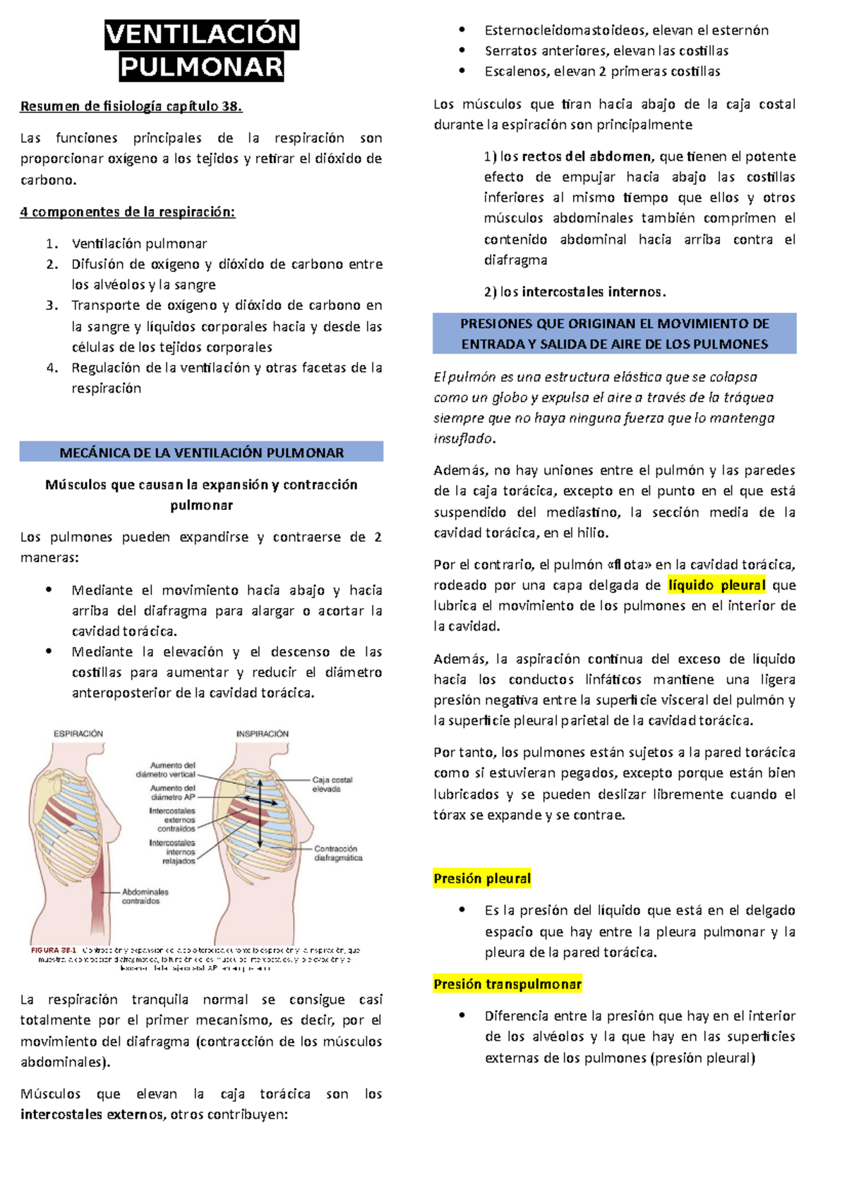 Capítulo 38 Ventilación pulmonar - VENTILACIÓN PULMONAR Resumen de fisiología capítulo 38. Las ...