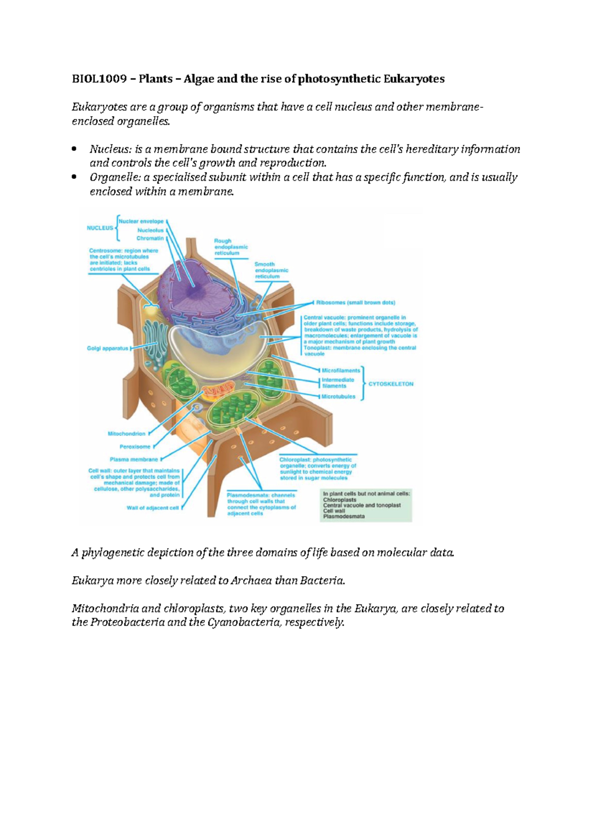 BIOL1009 Algae - BIOL1009 – Plants – Algae and the rise of ...