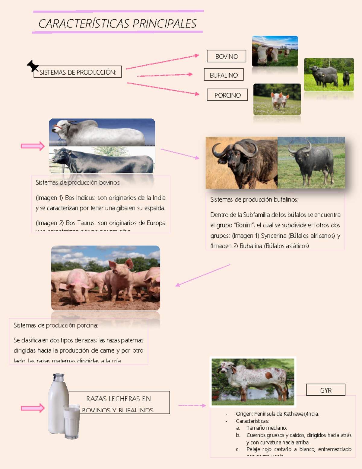 Infografía pecuaria - Bovinos. - CARACTERÕSTICAS PRINCIPALES SISTEMAS ...