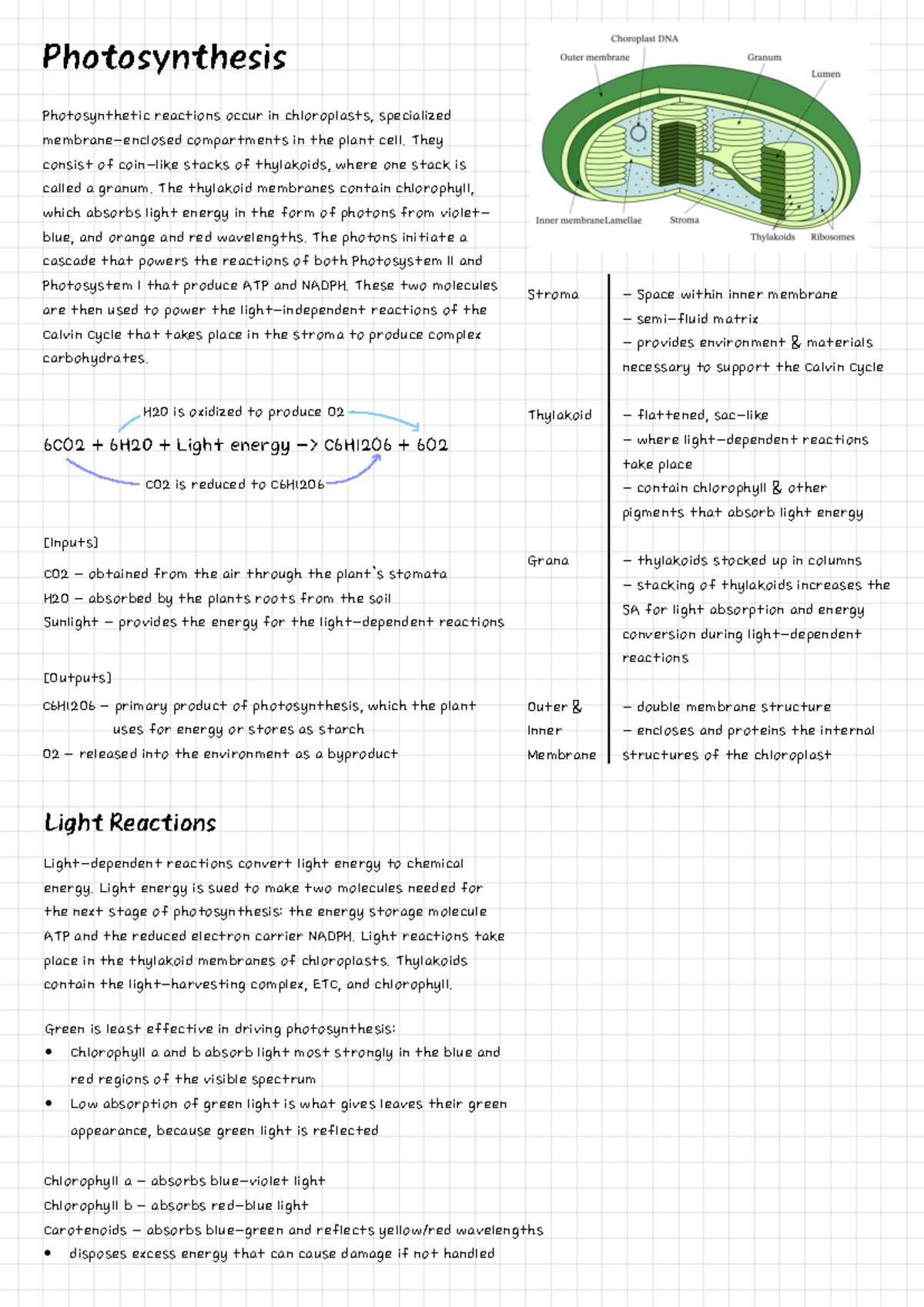 Biology - notes for photosynthesis - BIOL10008 - Studocu
