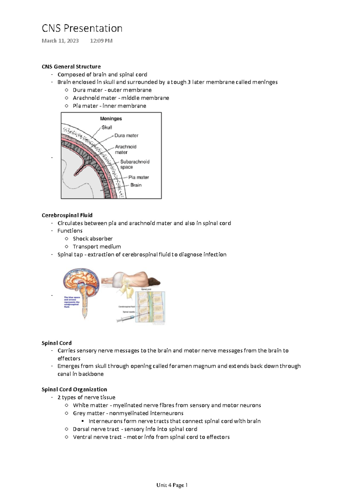 CNS Presentation - CNS General Structure - Composed of brain and spinal ...