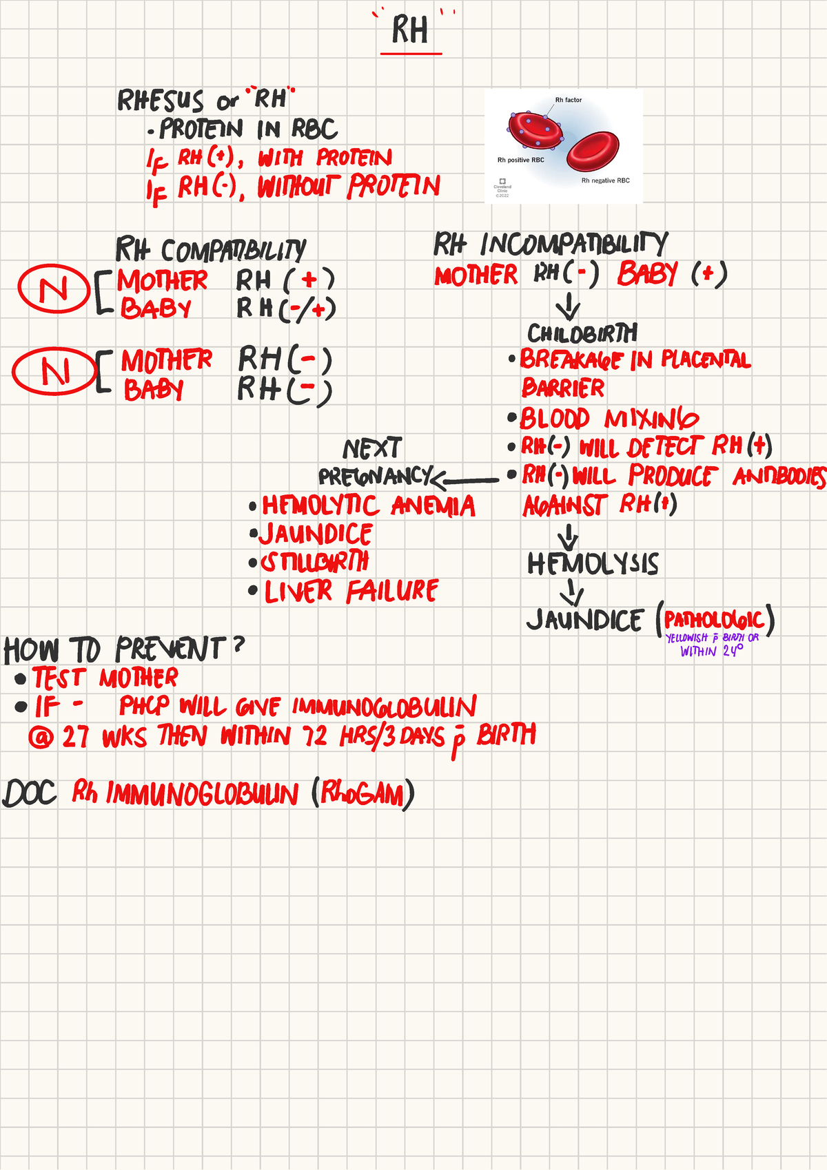 RNcutieeeeeeeeee - RH RHESUS or Rh factor .PROTEIN IN RBC IF RH WITH ...