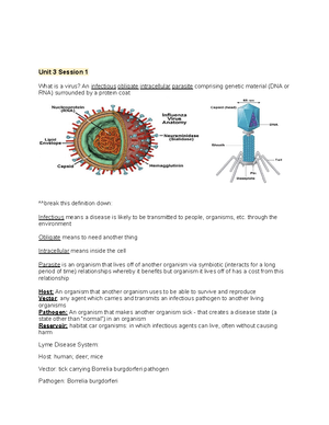 [Solved] Using a diagram explain how the following events in a virus ...