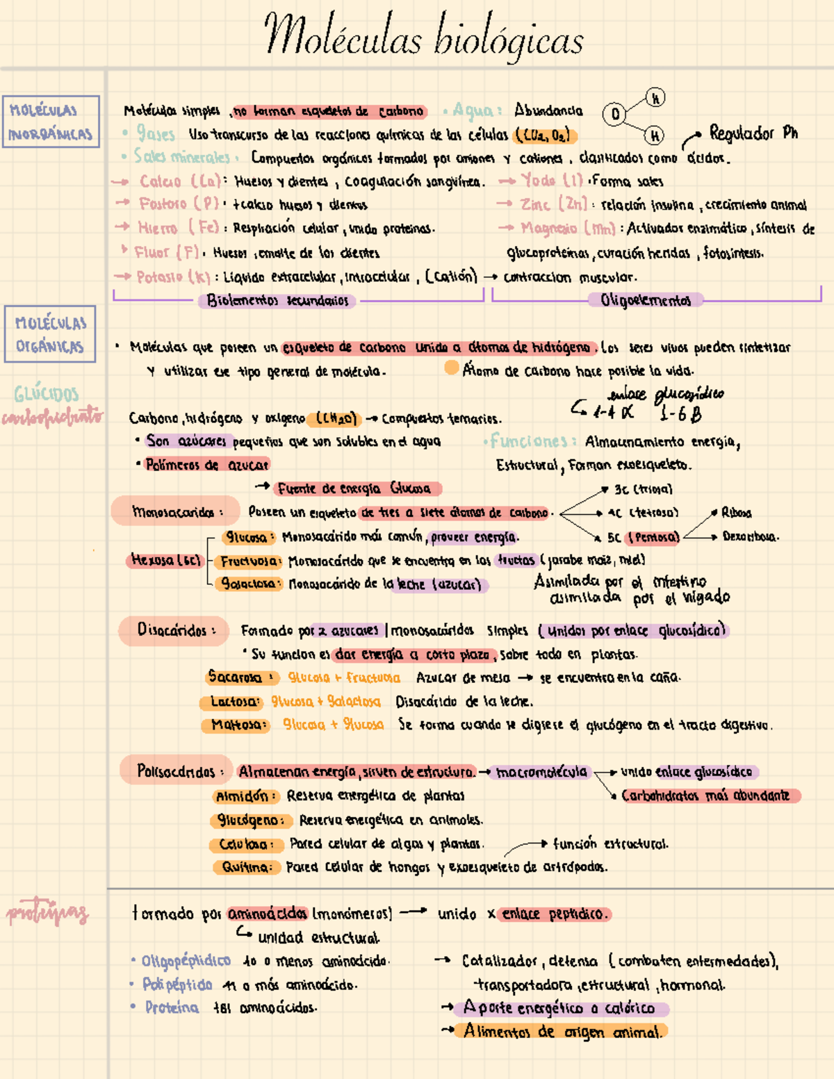 Moléculas Biológicas - Moléculas biológicas H MOLECULAS Moléculas ...