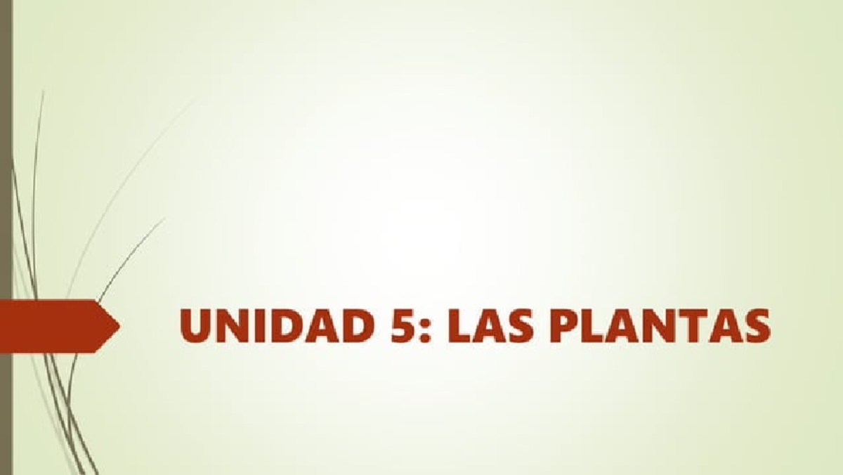 Presentacin plantas 3 educacin primariapptx 265804414 - UNIDAD 5: LAS ...