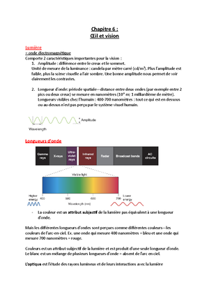 Cours 6 - Oeil et vision - La vision : détecter de petites choses ou ...