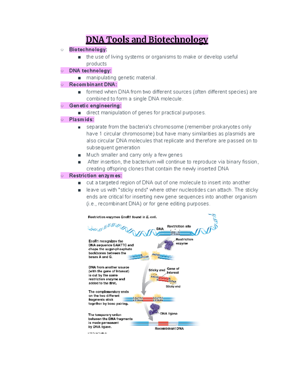 Ch. 20: DNA Tools and Biotechnology - DNA Tools and Biotechnology ...