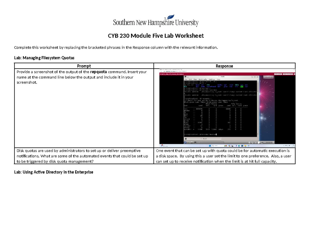 CYB 230 Module Five Lab Worksheet Brandon Meadows - CYB 230 Module Five ...