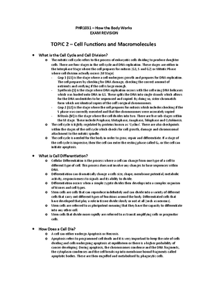 OSCE rubric updated (4) - PATIENT INTERACTION OSCE FORMATIVE FEEDBACK ...