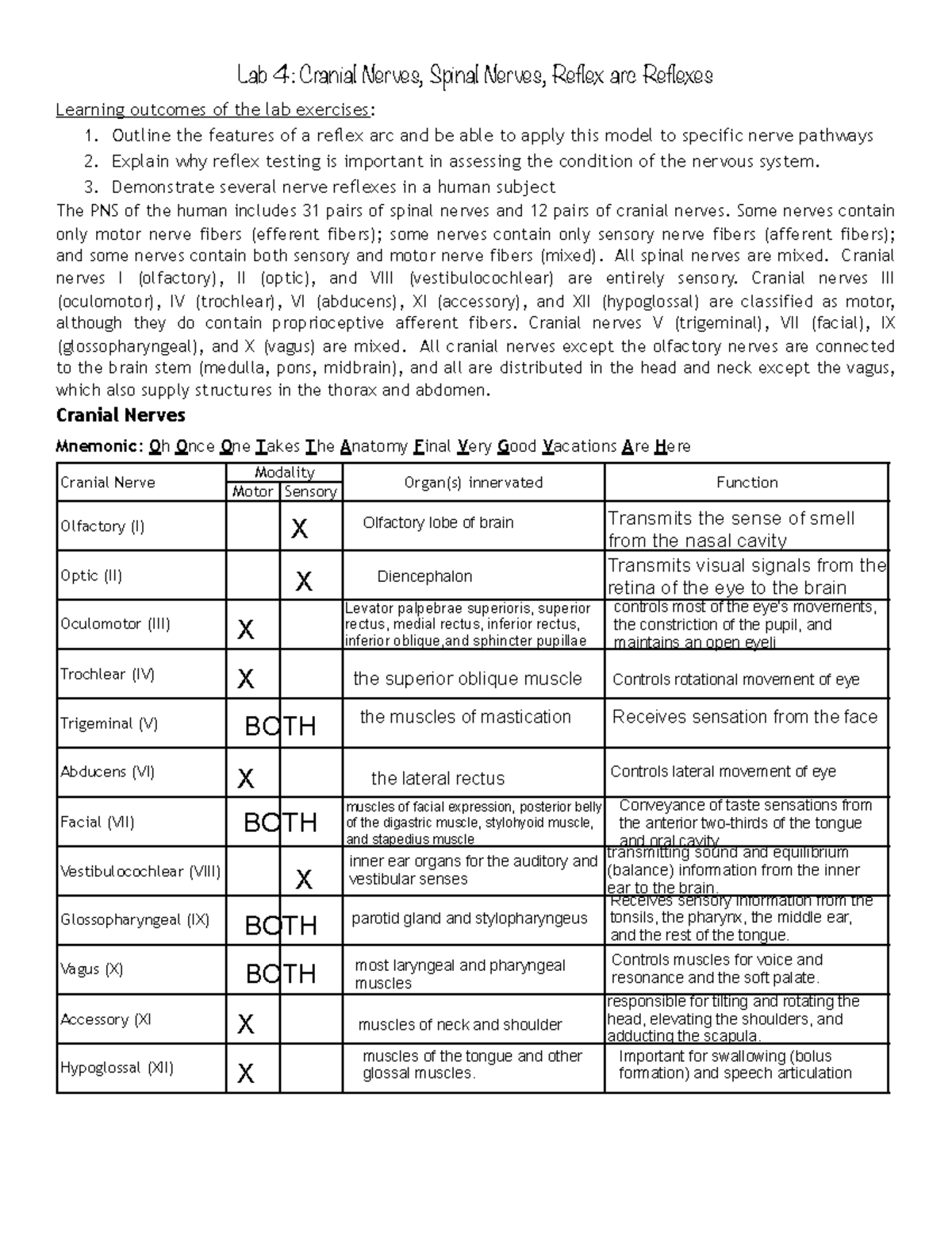 Bio 40 B Lab 4 - Lab 4: Cranial Nerves, Spinal Nerves, Reflex arc ...