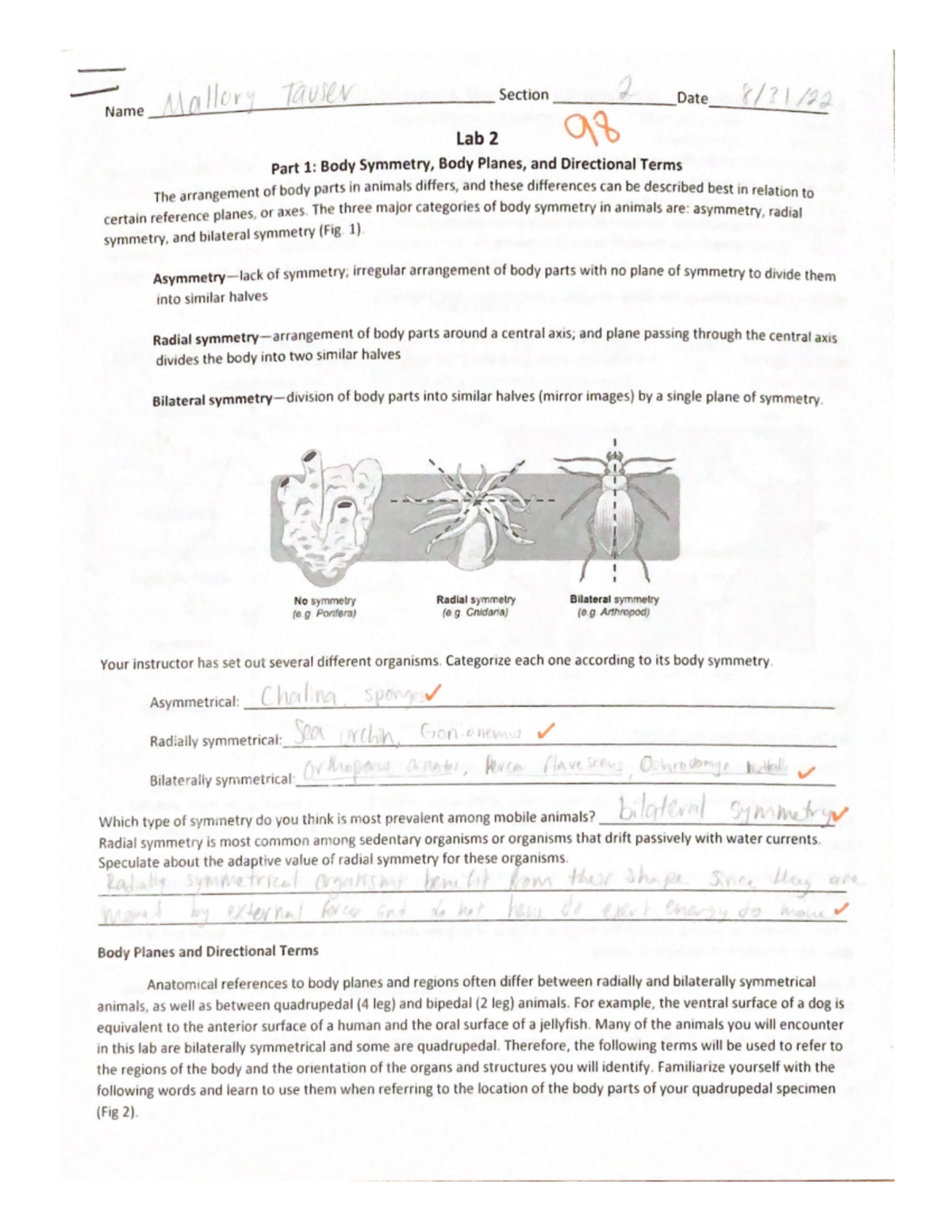 Lab 2: Body Symmetry, Body Planes and Directional Terms; Taxonomy and ...