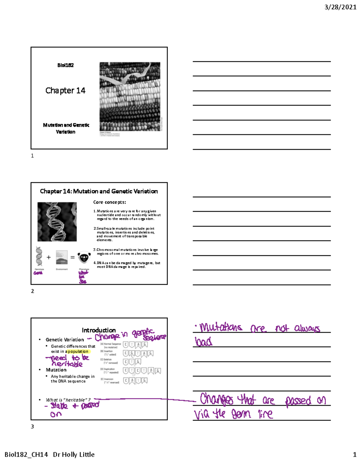 Bio 182 CH 14 - Ch 14 in class notes- Dr. Little - Biol 182 Chapter 14 ...