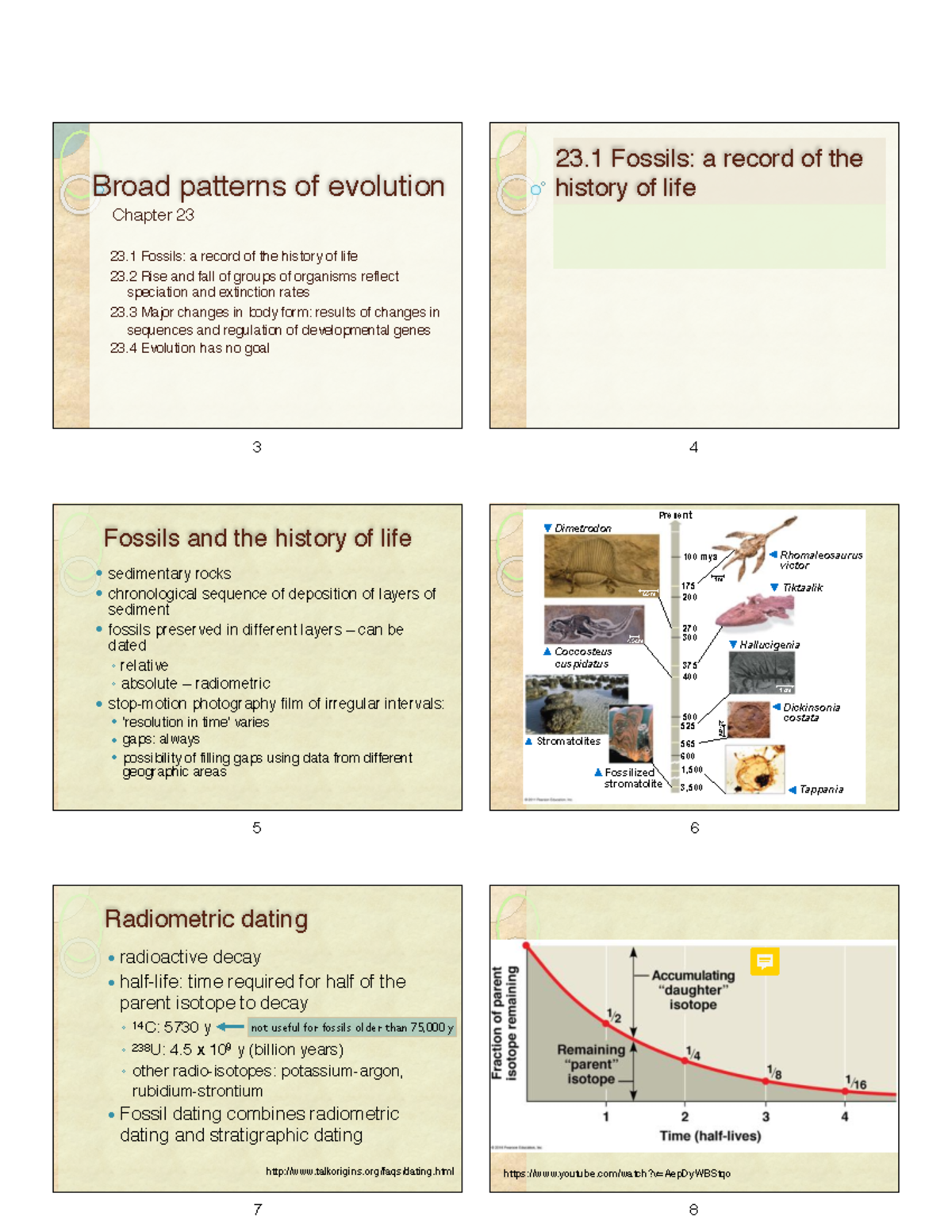 T4 Broad patterns evolution rf - Broad patterns of evolution 23 Fossils ...
