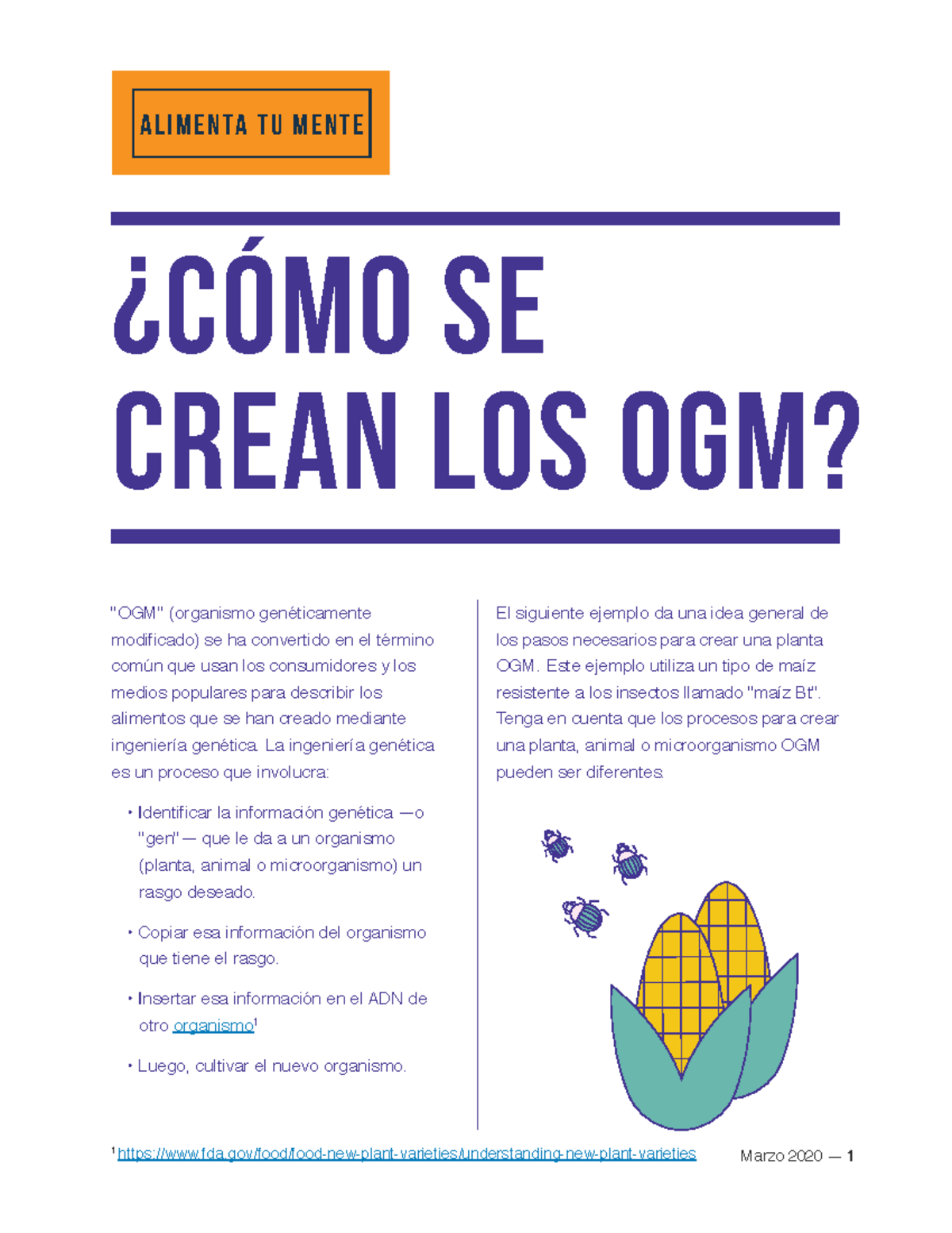 How Are GMOs Made Spanish - ¿Cómo se crean los OGM? ####### "OGM ...