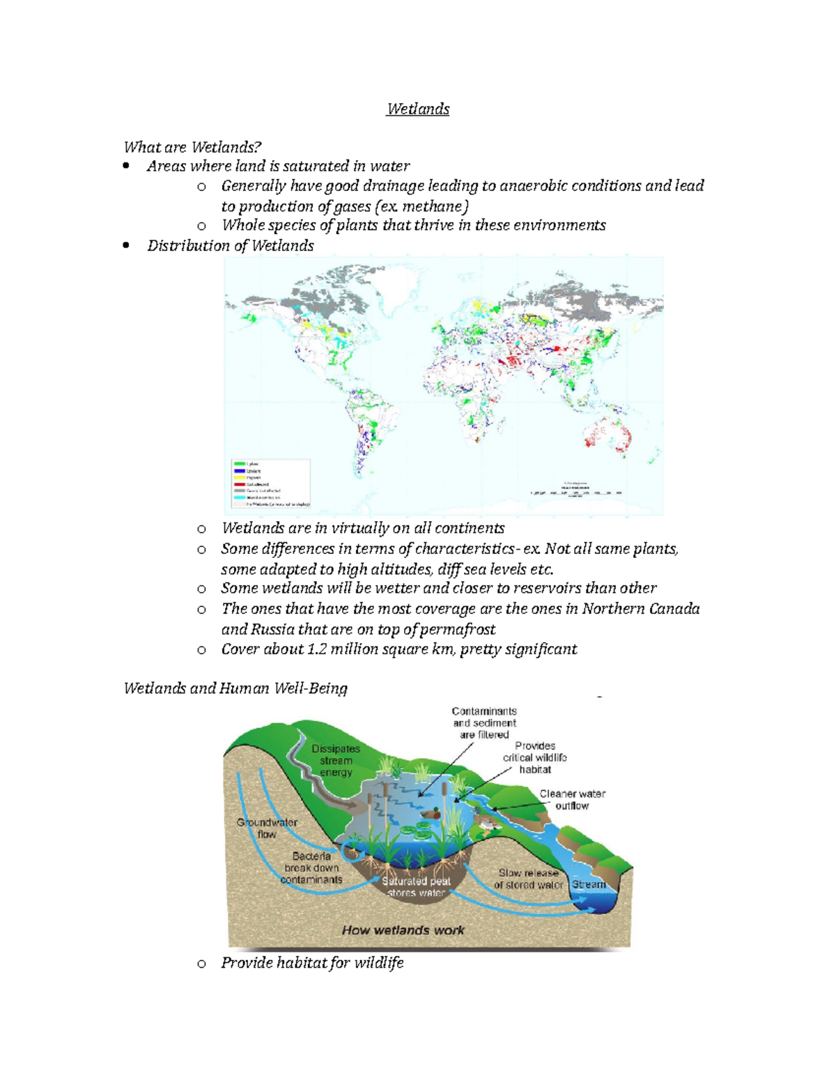 13. Wetlands - Lecture notes 13 - Wetlands What are Wetlands? Areas ...