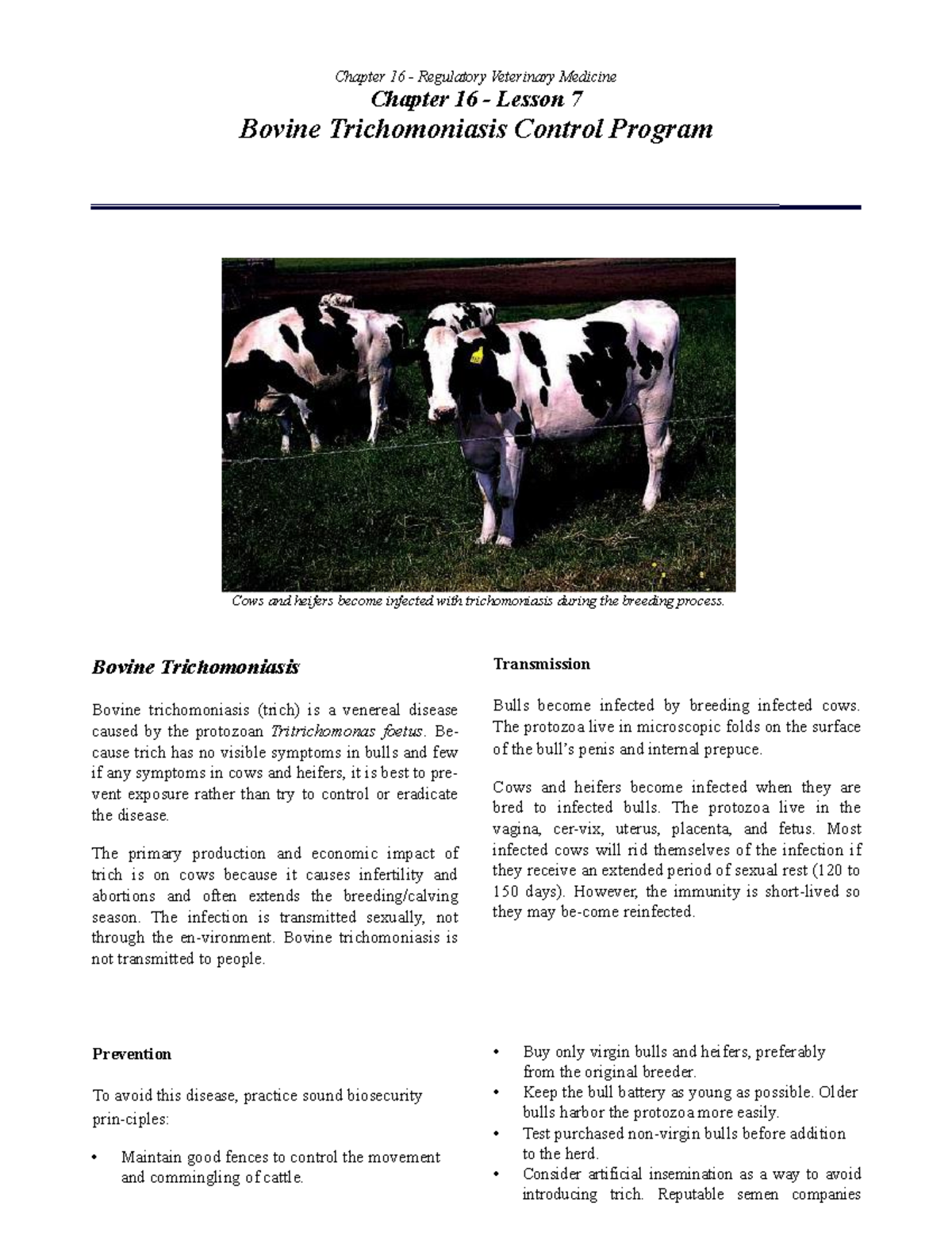 Ch16-07 Bovine Trichomoniasis Control Program - Chapter 16 - Regulatory ...