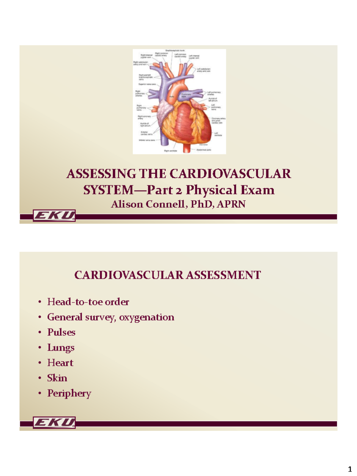 Cardiovascular part 2 Physical Exam - ASSESSING THE CARDIOVASCULAR ...