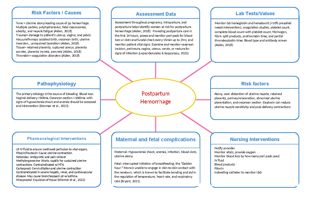 BSN346 PPH Concept Map Assignment - Risk Factors / Causes Assessment ...