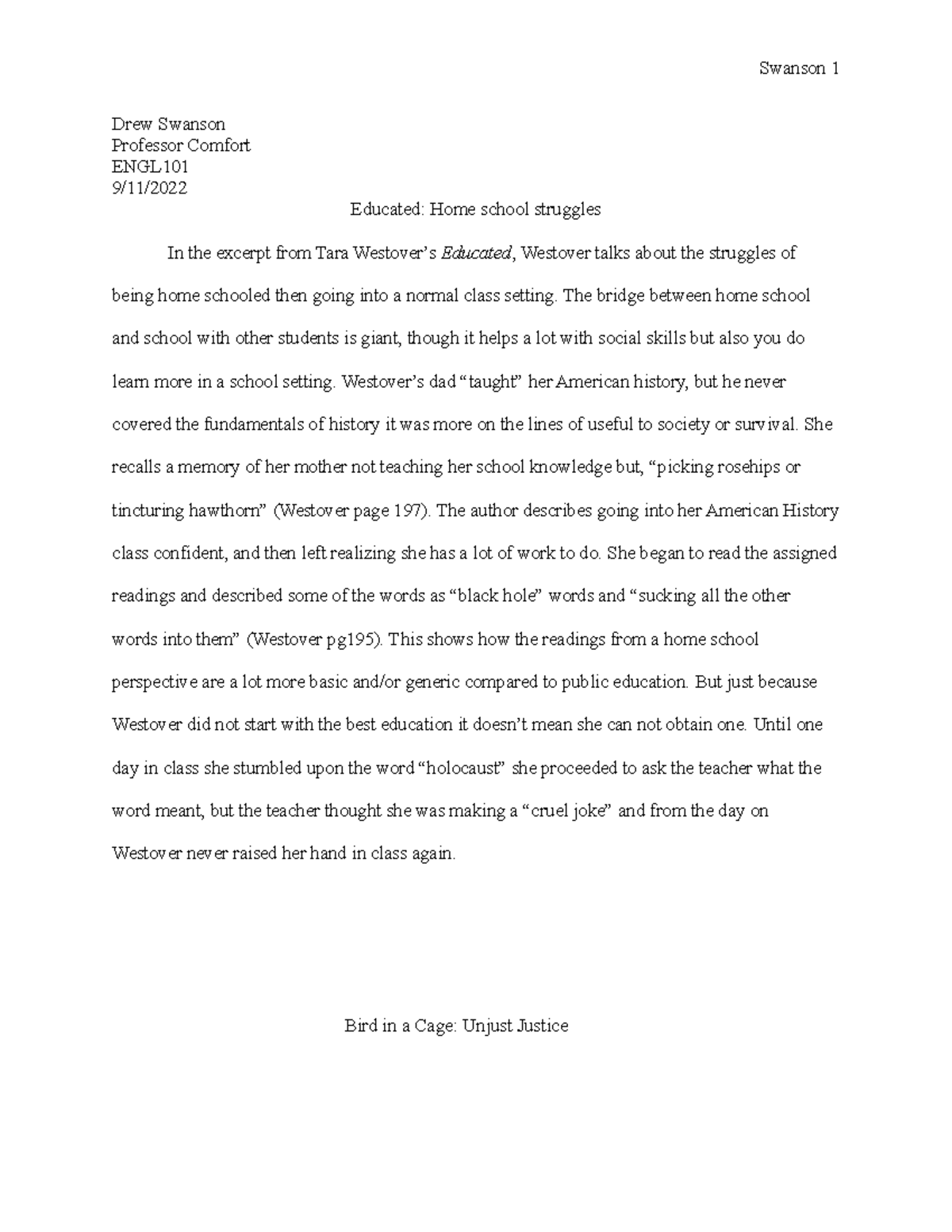 Drew Swanson Comp1 Portfolio - Swanson 1 Drew Swanson Professor Comfort ...