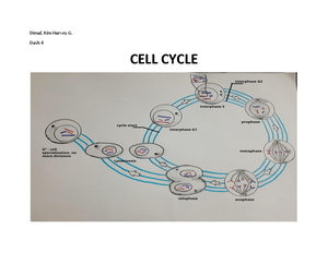 Laboratory Safety - TRANS - Why is it important to know and practice ...