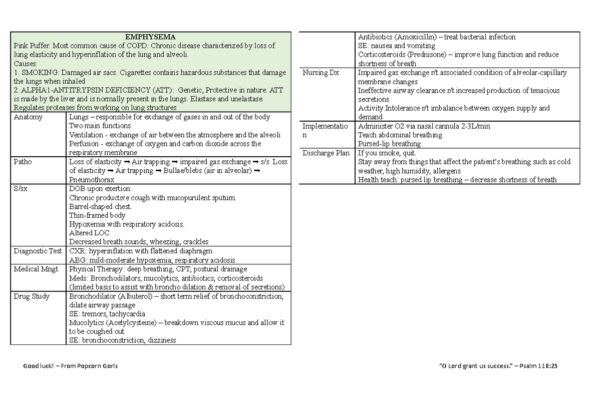 316- Revalida- Reviewer - EMPHYSEMA Pink Puffer. Most common cause of ...