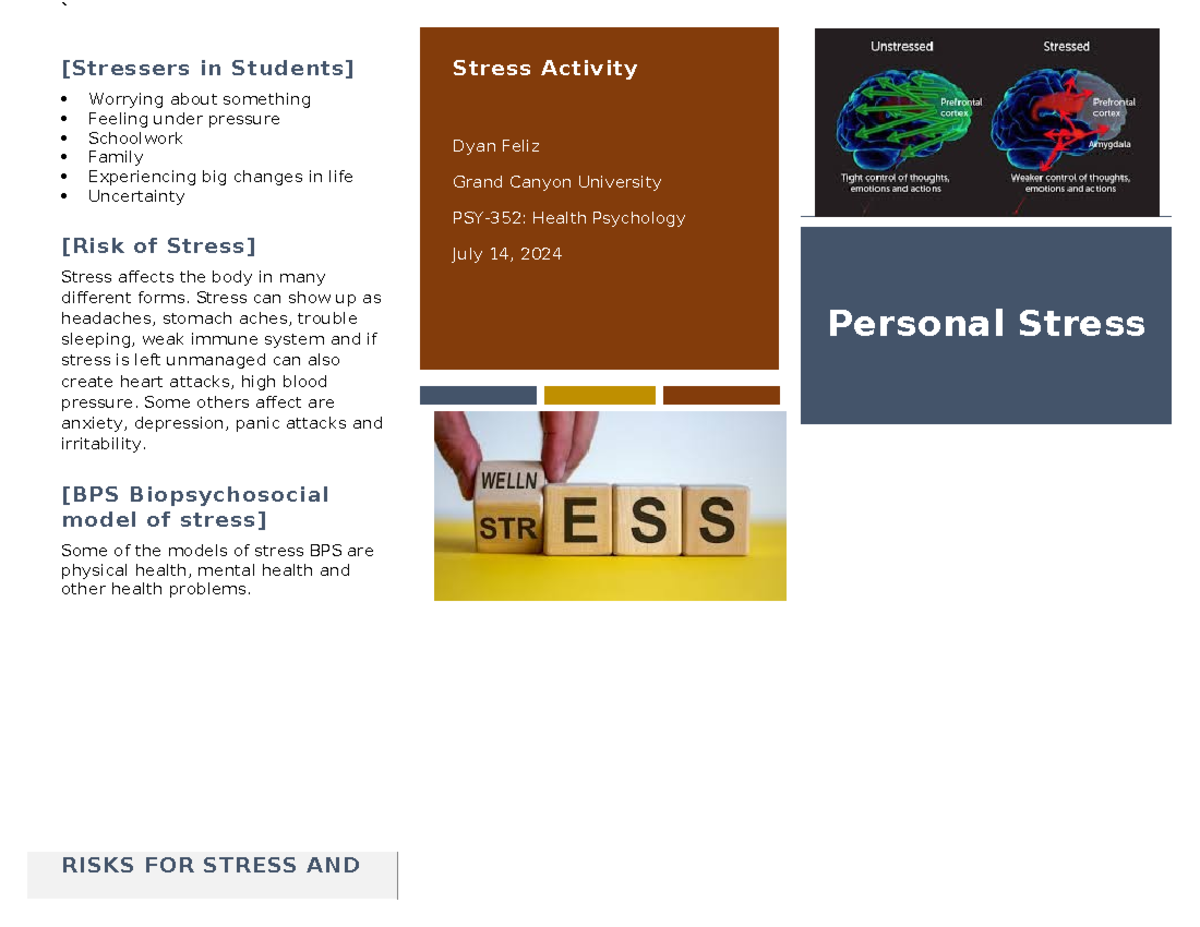 Stress brochure - [Stressers in Students] Worrying about something ...