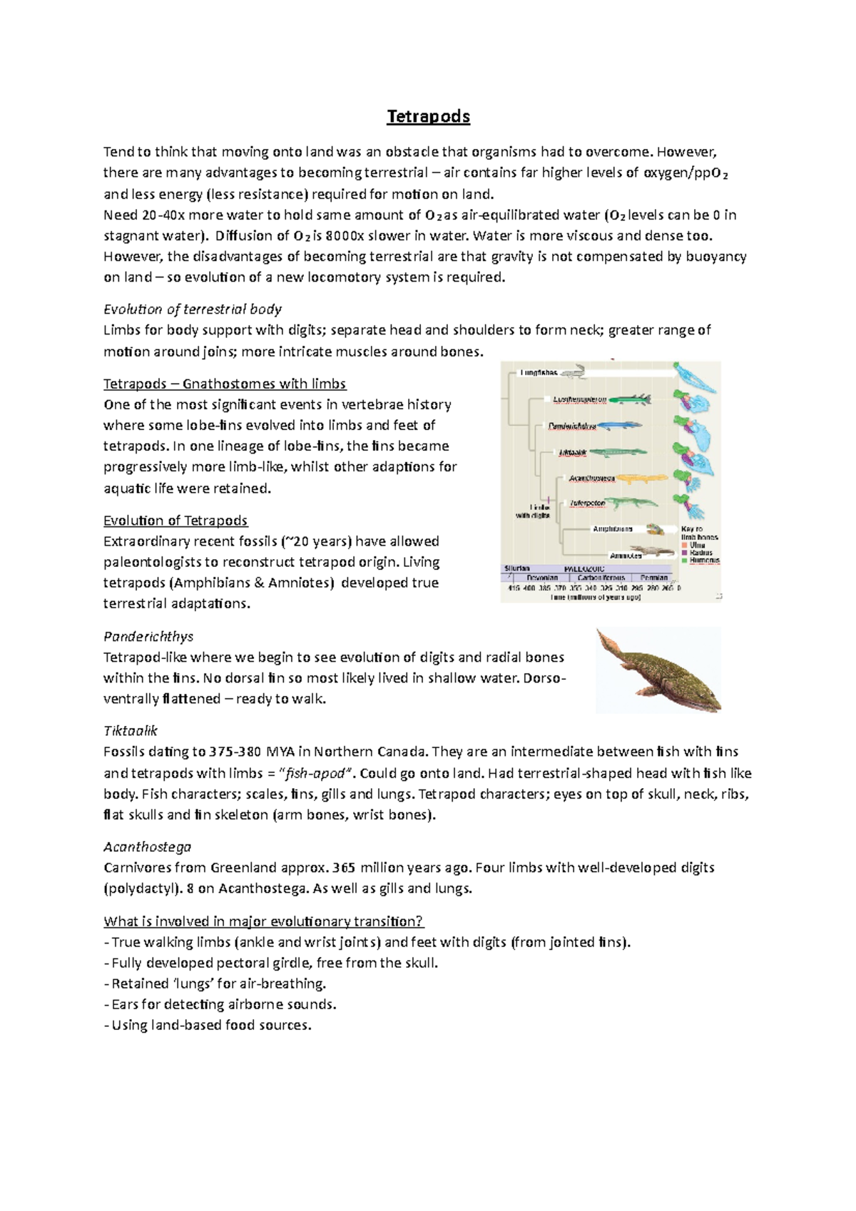 Tetrapods - Andrew Griffiths notes. - Tetrapods Tend to think that ...