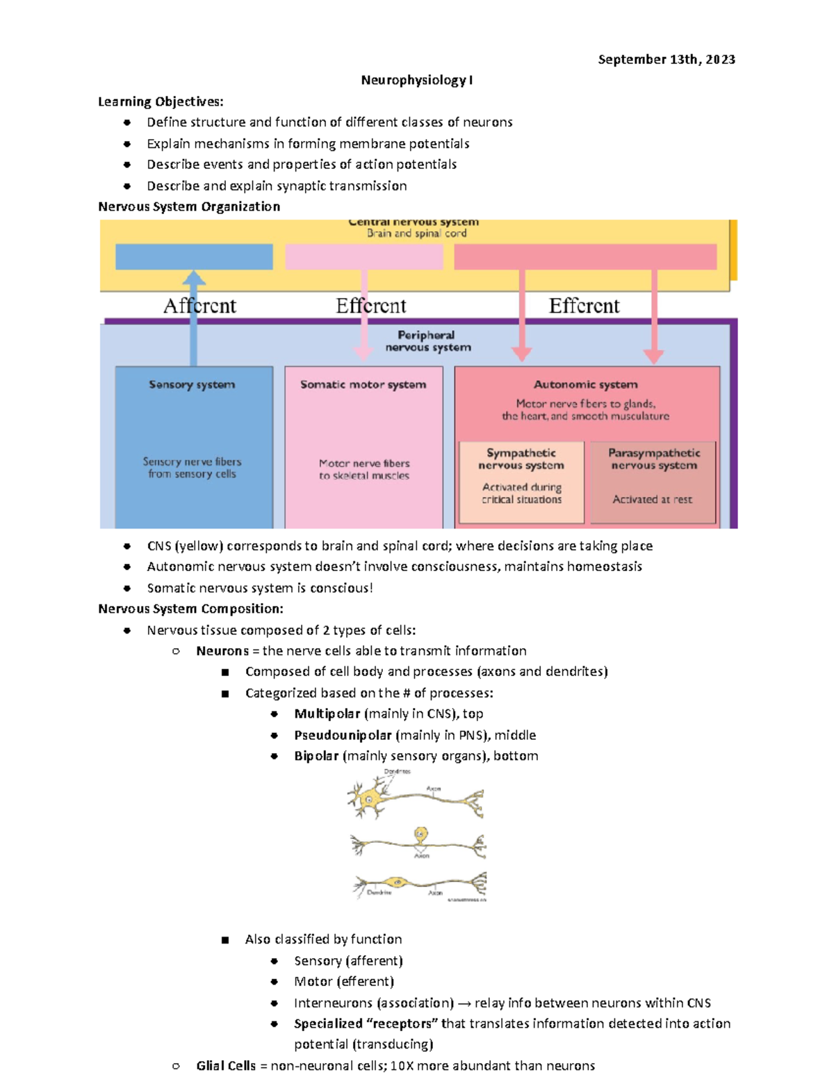 Lecture 2,3,4,5 Neurophysiology - September 13th, 2023 Neurophysiology I Learning Objectives ...