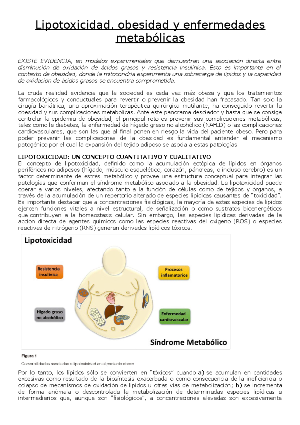 Lipotoxicidad - Esto es importante en el contexto de obesidad, donde la ...