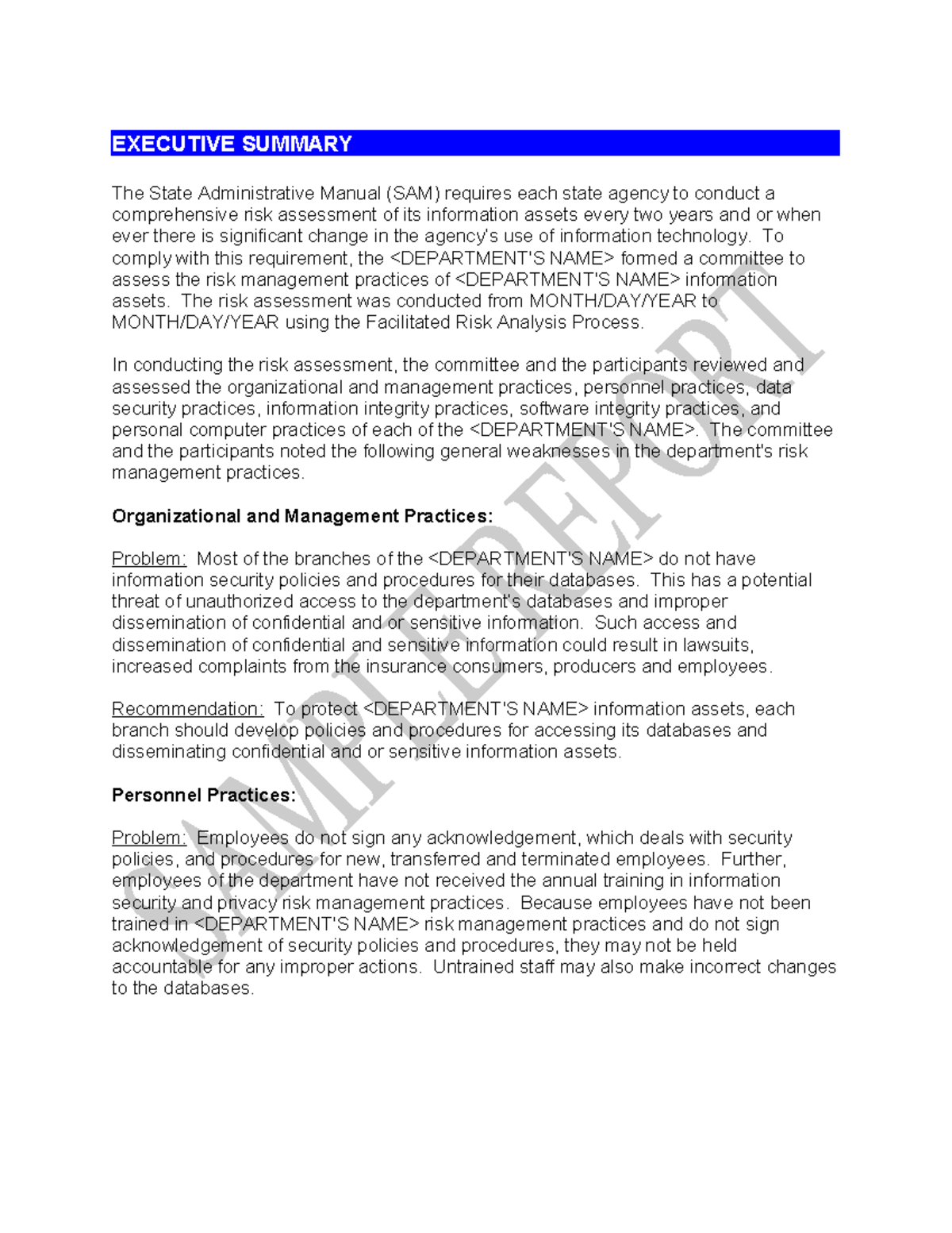 RA Sample Report - Guide for RA - EXECUTIVE SUMMARY The State ...