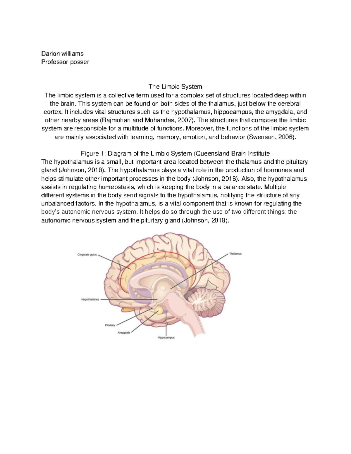 Mod 11 report - Darion williams Professor posser The Limbic System The ...