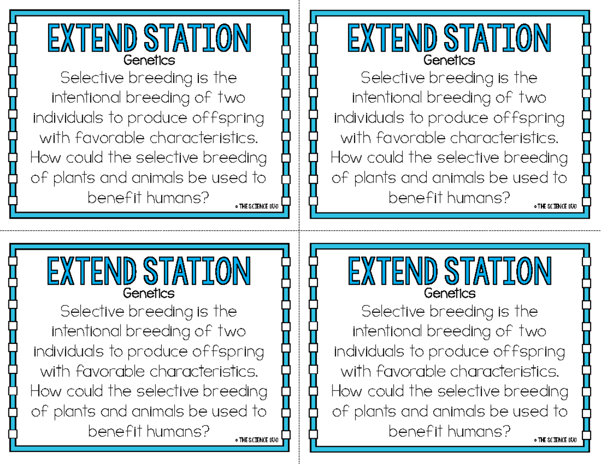5 - Extend - Work - © the science duo © the science duo © the science ...