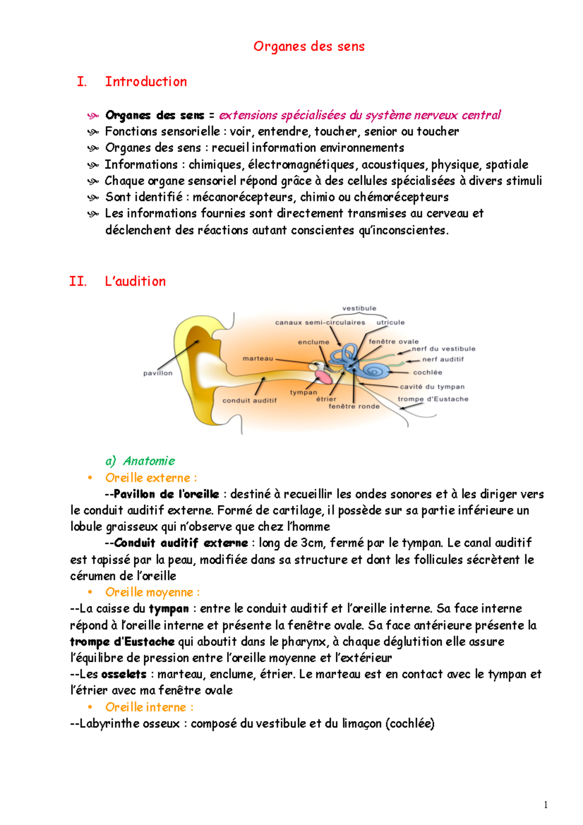 Les organes des sens - Bilogier - Organes des sens I. Introduction h Organes des sens ...