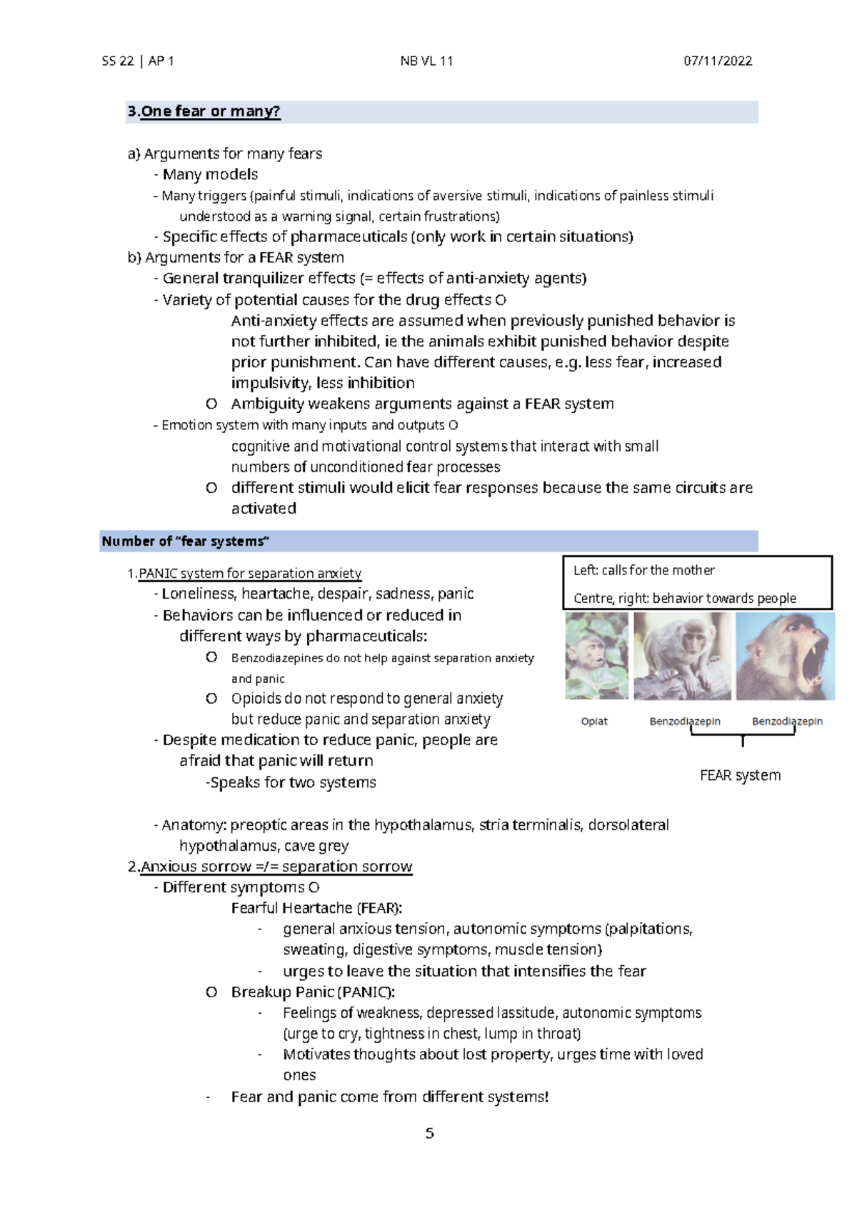 Summary 11.2 - Number of fear systems and pain - SS 22 | AP 1 NB VL 11 ...