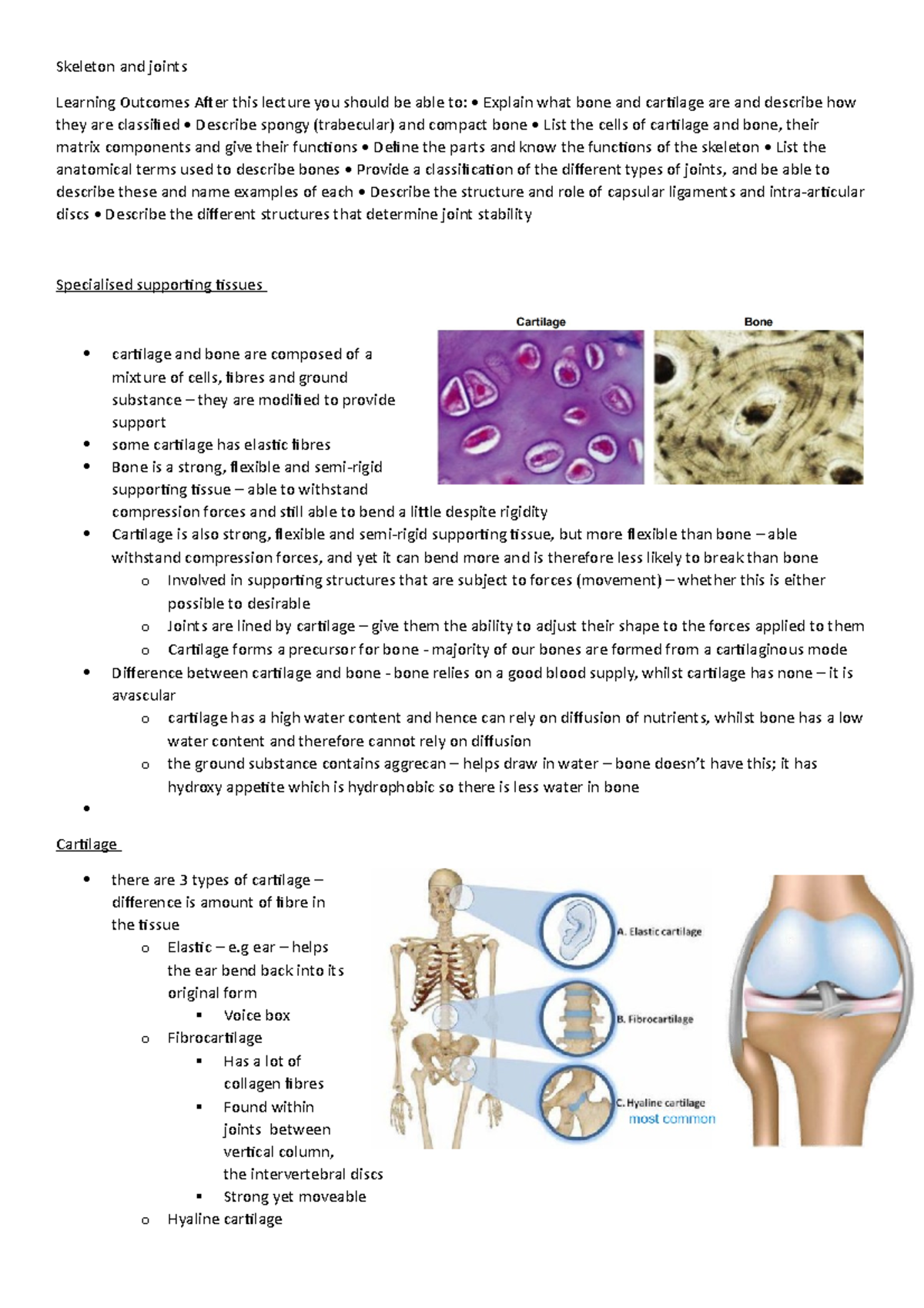 Skeleton and joints - Skeleton and joints Learning Outcomes After this ...