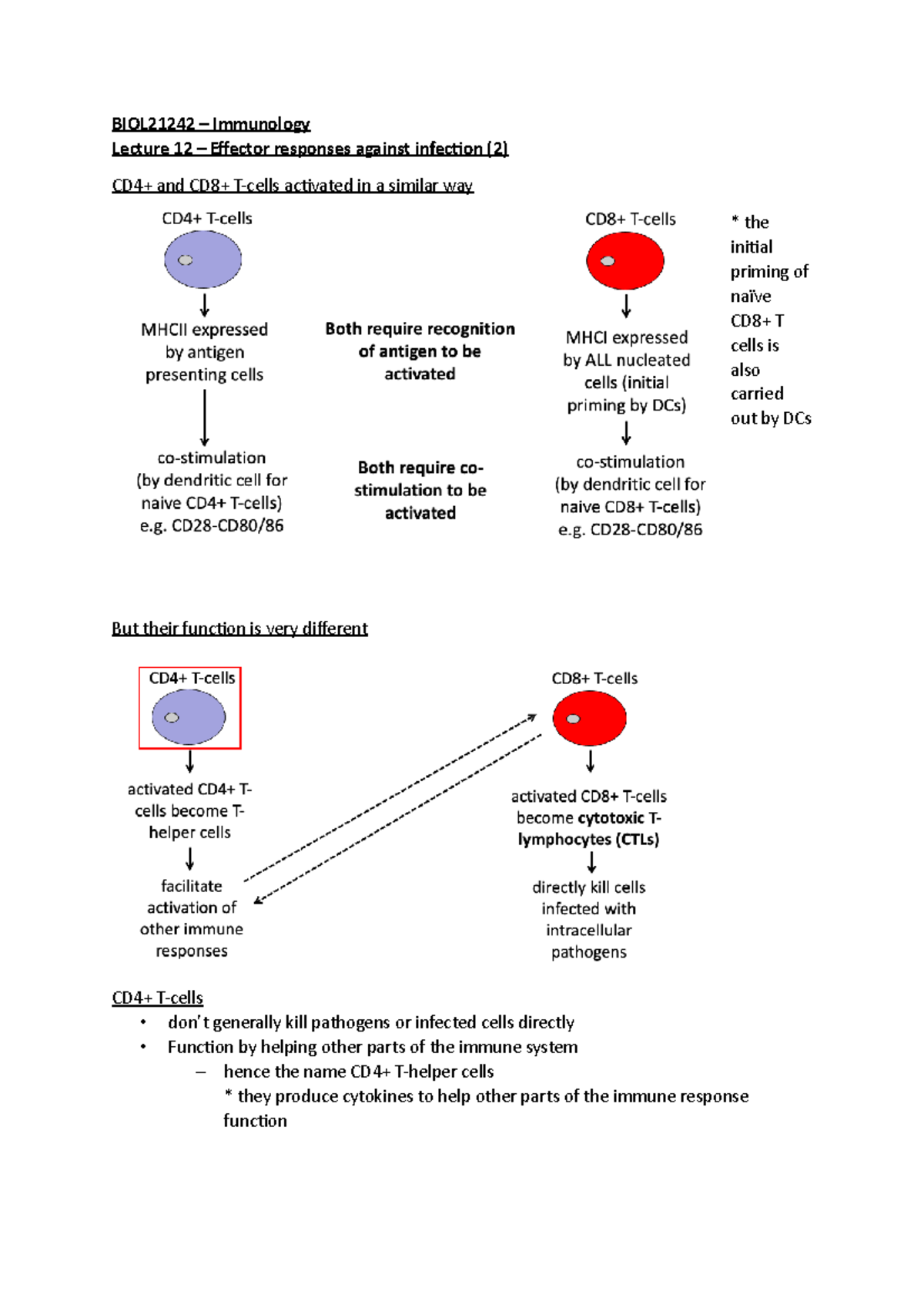 Lecture 12 – Effector responses against infection - BIOL21242 ...