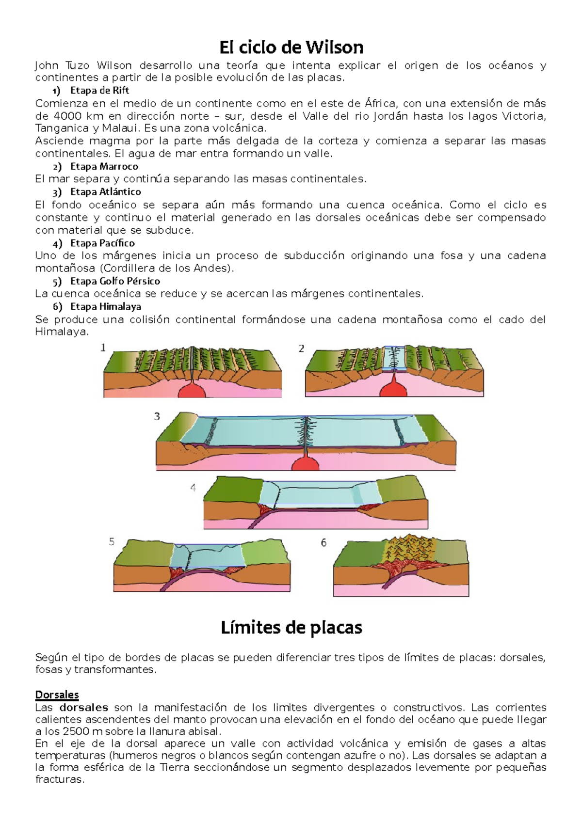 El ciclo de Wilson - Biología - El ciclo de Wilson John Tuzo Wilson ...