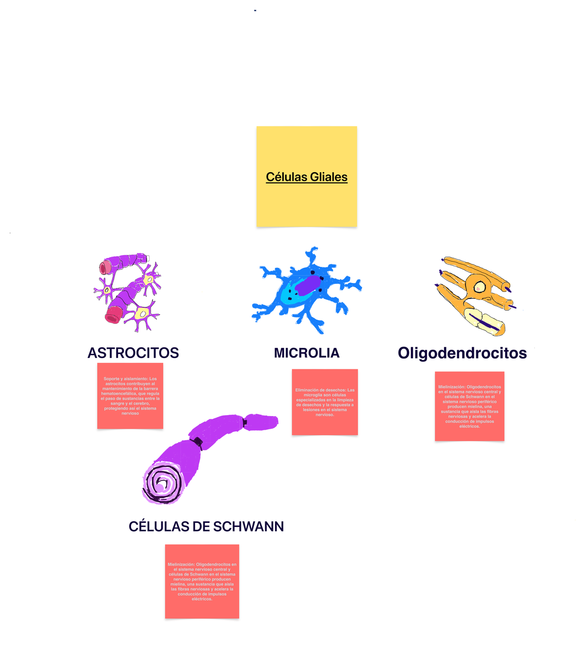 Células gliales - Células - Células Gliales ASTROCITOS MICROLIA ...
