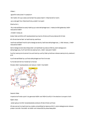 Neurotransmitter type structure function - Neurotransmitter :type ...