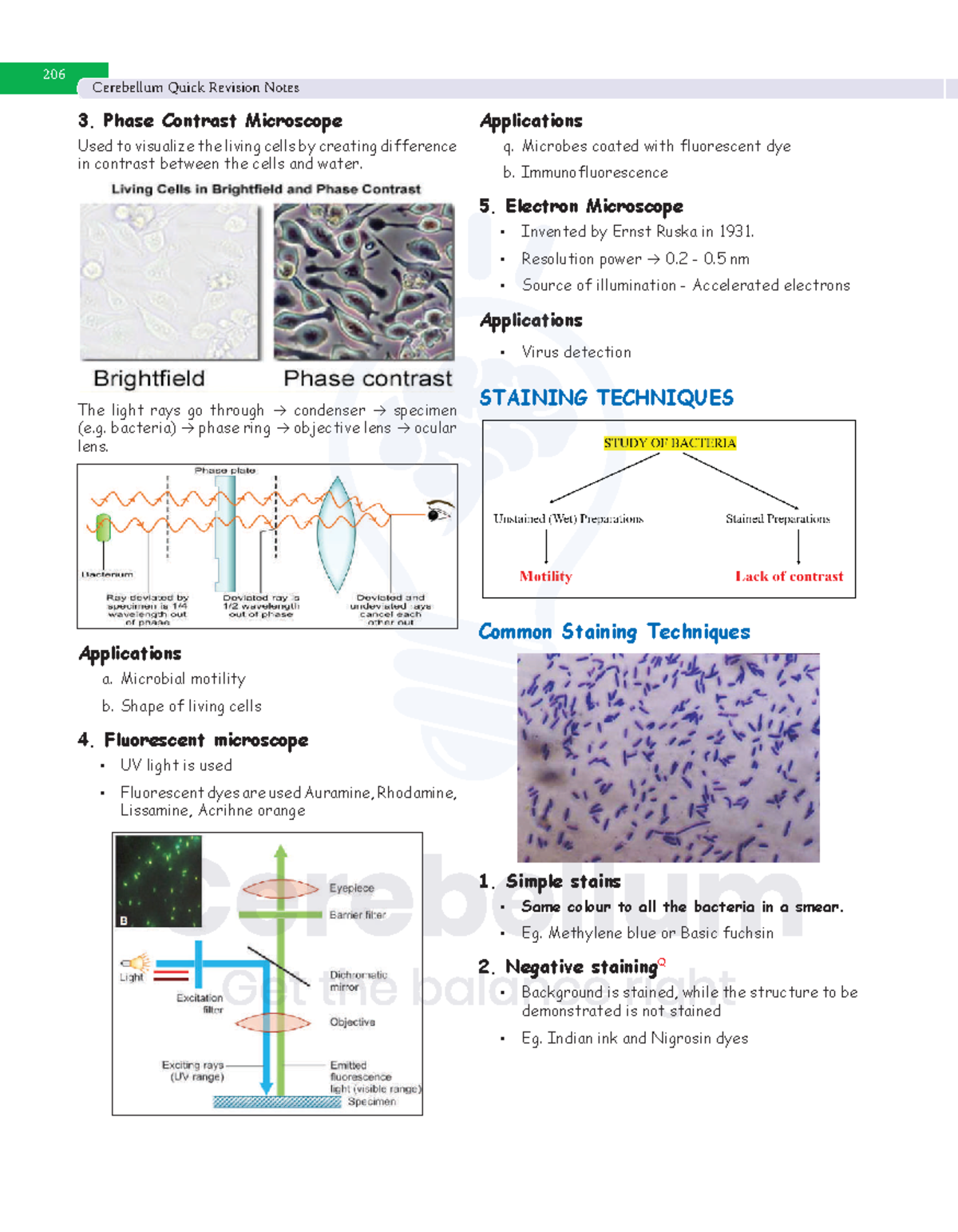 Extra micro - Cerebellum Quick Revision Notes 3. Phase Contrast ...