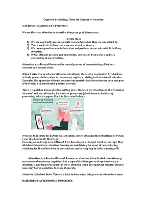 Psych study - Biological approach to understanding behaviour HL Only ...