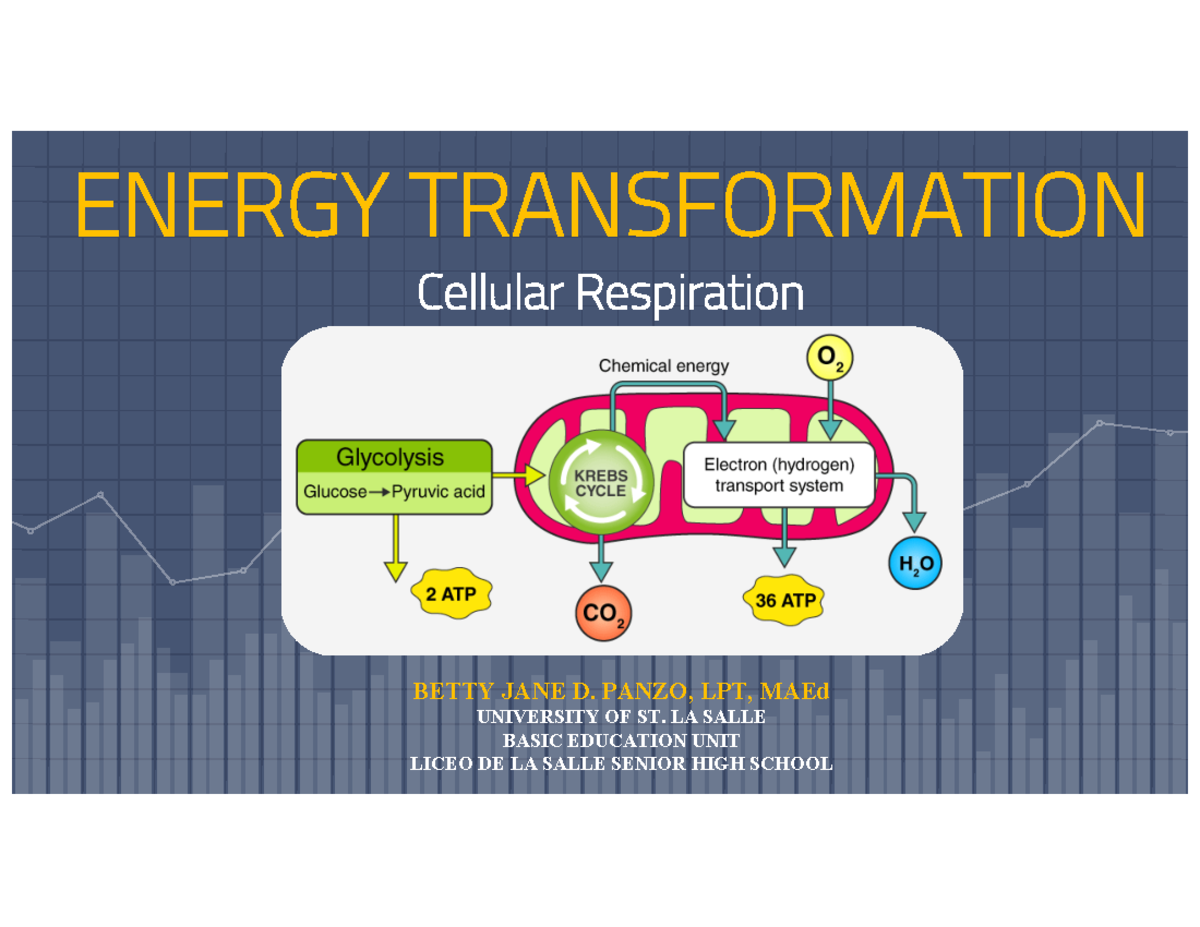 Cellular Respiration - ENERGY TRANSFORMATION Cellular Respiration BETTY ...