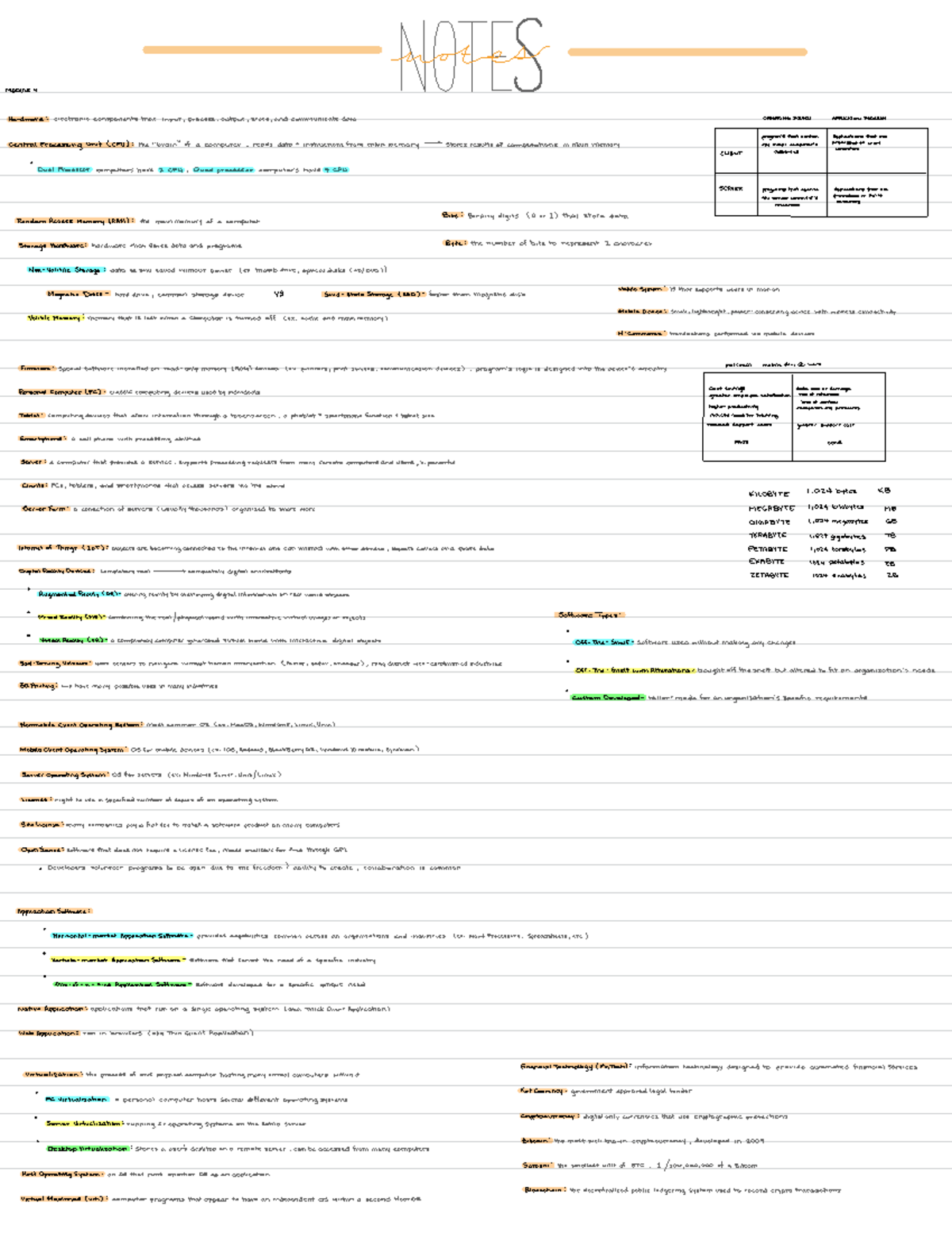 MIS200 Module 4 Notes - effete MODULE 4 Hardware : electronic ...