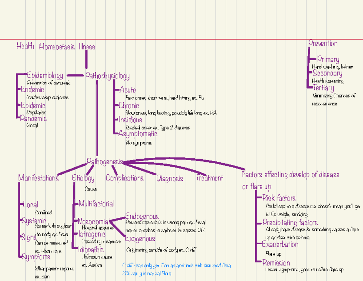 Vocabulary Concept Map - Health Homeostasis Illness Prevention Primary ...