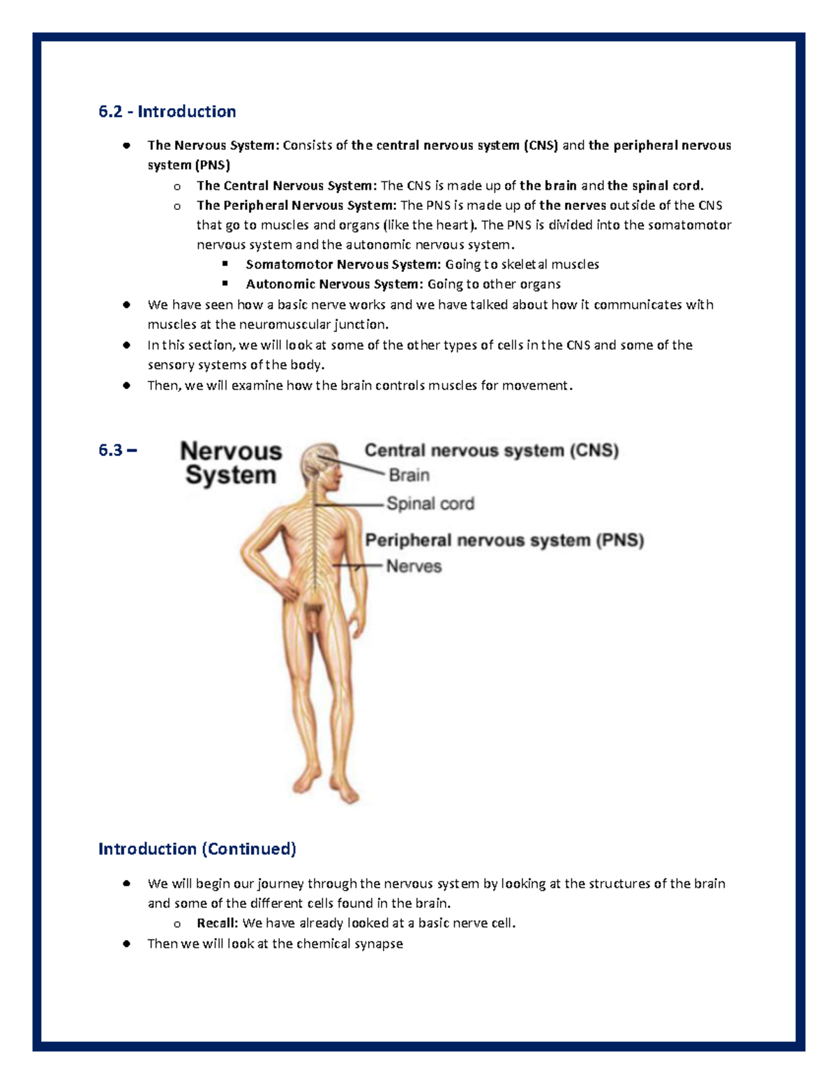 Unit 6-9 phys 2130 - Dr. Thiebeault Modules 6 - 9 - 6 - Introduction The Nervous System ...